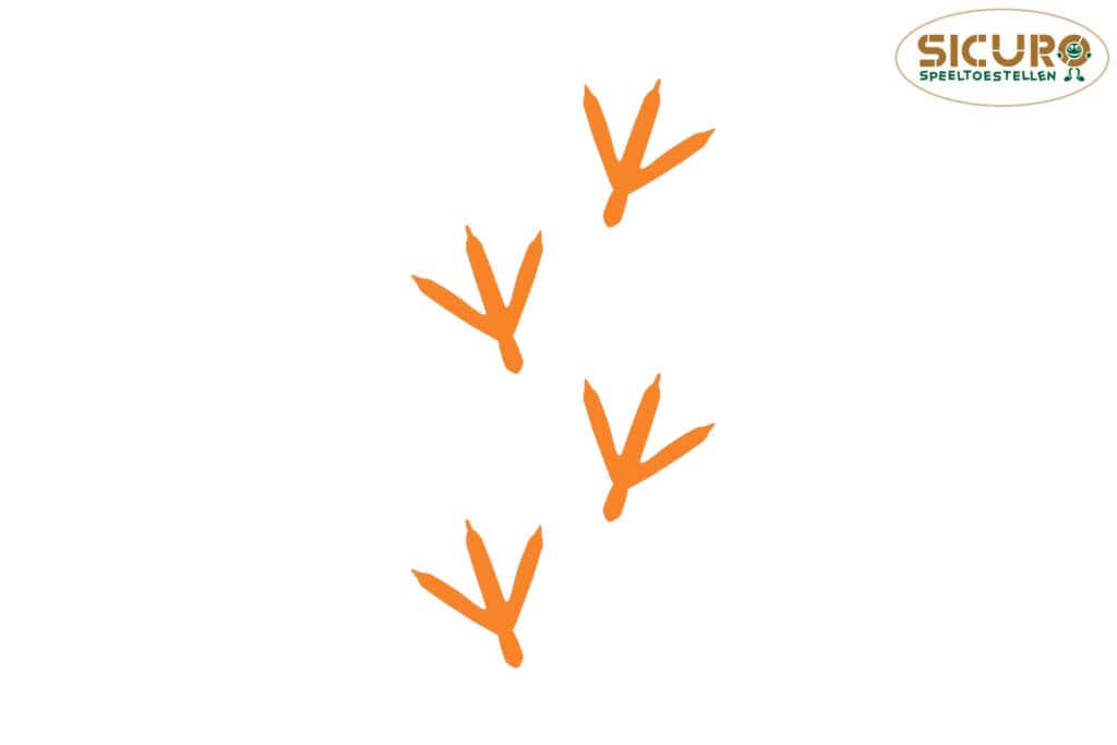 Poot afdruk vogel - Sicuro